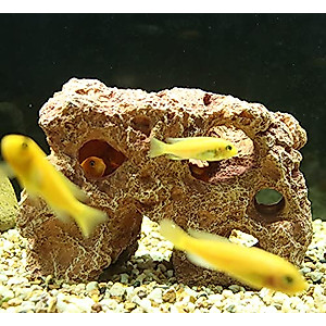 ALEGI Large Aquarium Decorations Hideouts, Resin Aquarium Rock Mountain Hideaway Caves,Artificial Sea Coral Fish Tank Decoration