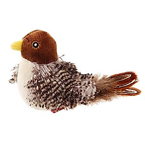 GIGWI Melody Chaser Motion Activated Bird, Black (G10052A1)
