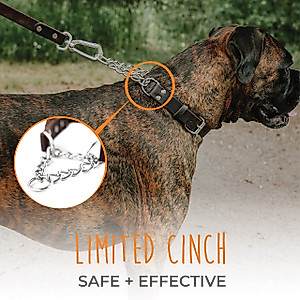Mighty Paw Martingale Dog Collar - No Pull Design - Stainless Steel Chain - Limited Chain Cinch Training - Dog Collar Leather Martingale - Brown Leather Martingale Training Collar - Large Size Collar