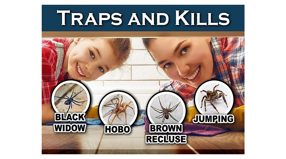 MaxGuard Spider & Insect Traps - 12 Non-Toxic Glue Traps