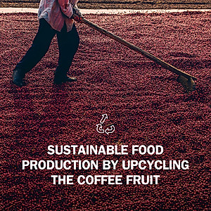 The Other Side of Coffee – Upcycled Coffee Fruit Juice Drink, Non-Carbonated, Antioxidant Rich, Low Caffeine (30mg), Low Calorie, Low Sugar, 100% Natural, 12 Fl Oz, Berry Flavor (Pack of 12)