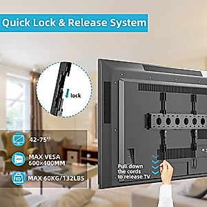 Height Adjustable TV Wall Mount, Bracket for Most 42-75 inch LED, LCD Monitor and Plasma TVs, Holds up to 132lbs, Max VESA 600x400mm by XINLEI (MFA6)