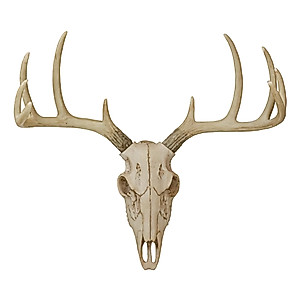 Ebros Gift Rustic Hunter Deer 10 Point Buck Skull Trophy Antlers Wall Mounted Plaque Trophy Decor Figurine 14.25" Long Hunter's Antler Rack Theme Deers Bucks Hunting Skulls Trophies Hanging Sculptures