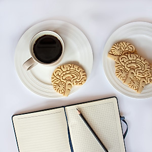 Anatomical Brain cookie cutter, 1 piece - Bakerlogy