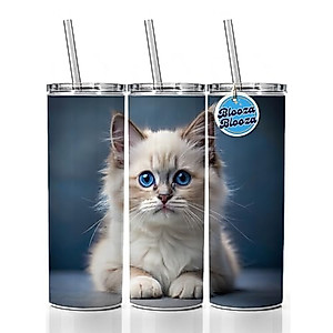 Ragdoll Cat Kitten Photo Skinny Tumbler 20oz with Straw Insulated Water Bottle Gift