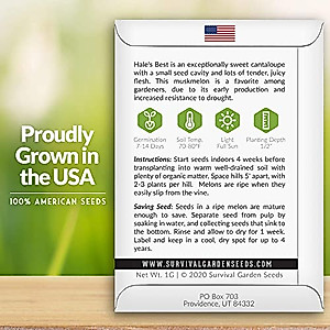 Survival Garden Seeds - Hale's Best Melon Seed for Planting - Grow Juicy Cantaloupe for Eating - 3 Packs with Instructions to Plant in Your Home Vegetable Garden - Non-GMO Heirloom Variety
