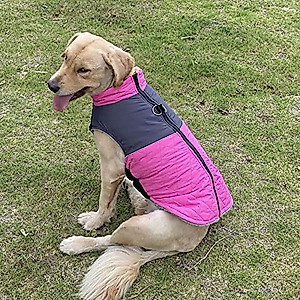 HonpraD Pet Clothes for Small Dogs Girls Dress Reflective Waterproof Pet Coat Winter Warm Dog Coat for Small Medium Large Dog