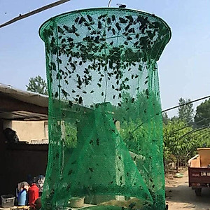 6 Pack Ranch Fly Trap, 2024 New Hanging Fly Catcher, The Most Effective Trap Ever Made with Pots, Cage Catcher for Indoor and Outdoor, Family Farms, Park, Restaurants