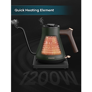 INTASTING Gooseneck Electric Kettle Hot Water Boiler Pour Over Coffee and Steeping Tea, 304 Stainless Steel, 0.9L/30oz, Auto Shut-Off & Boil Dry Protection, Matte Green with Dark Brown Wood Handle