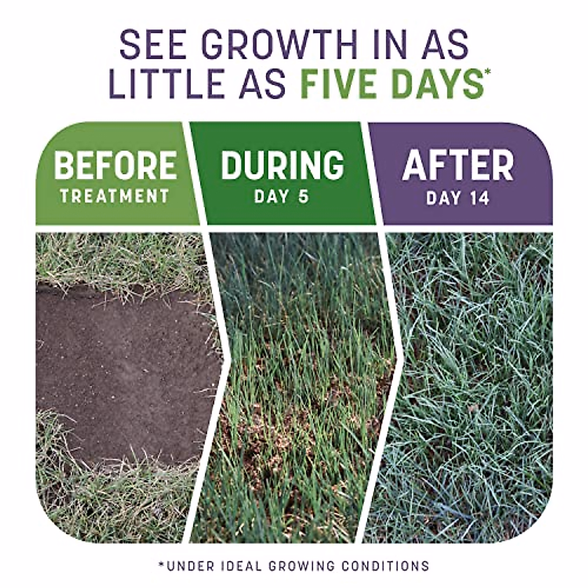 Pennington Smart Patch Dense Shade Mix Jug 5 lb