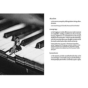 The Dictionary of Obscure Sorrows