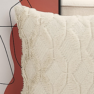 Henzxi Set of 2 Throw Pillow Covers 18x18 Inches Farmhouse Decorative, Square Boho Cushion Case with Faux Velvet Soft Plush Short Wool, Beige