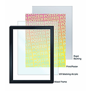 Pyramid America Framed Plexi Posters