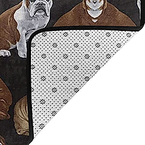 English Bulldogs Ultra Soft Non Slip Door Mat Rugs, Bedroom Carpets, for Living Room Dorm Bathroom Decorative