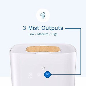hOmeLabs Cool Mist Ultrasonic Mini Humidifier for Tabletop - 4 Liter Capacity with 40 Hour Run Time - Great for Bedroom, Baby Nursery, Plants and More