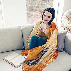 Ambesonne Dessert Round Blanket, Close Up View of Breakfast Pancake with Fresh Blueberry Maple Syrup, Lightweight Sofa & Bed Cover Birthday Gift for Boyfriend, 60" Round, Dark Orange Dark Indigo