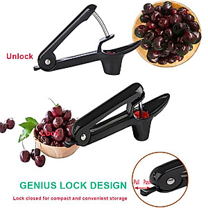 Cherry Pitter Tool - Heavy-Duty Stainless Steel Olive and Cherry Pitters Corer Tool with Space-Saving Lock Design, Multi-Function Cherries Stoner Seed Remover Tool for Making Cherry Jam (Black)