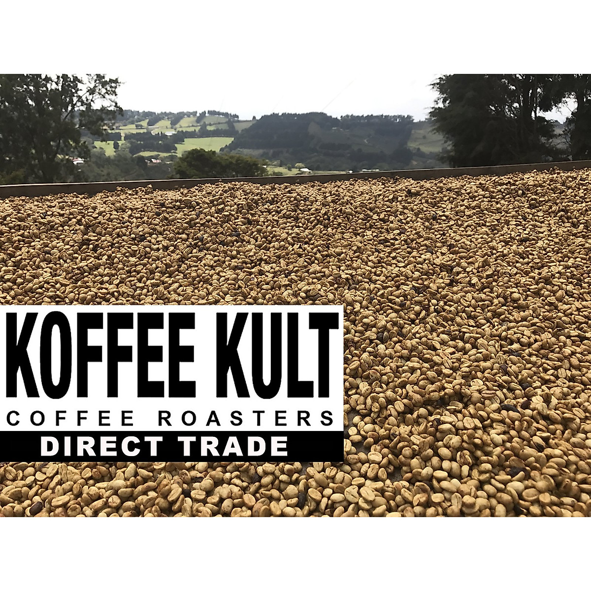 Koffee Kult Thunder Bolt Dark Roast Coffee Beans, Whole Bean, Fresh Roasted, 100% Arabica Robust Blend of Colombian And Brazil Whole Beans Bulk 32oz