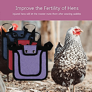 3 Pieces Premium Chicken Saddles with Adjustable Strap, Hen Saddle Sweater Clothes, Birds Protector for Back and Sides, Poultry Accessories for Hens, Suitable for 5-7.6lbs, Red & Blue & Purple