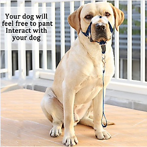 BARKLESS No-Pull Head Collar for Dogs Training & Walking Made Easy, Soft Dog Halter Harness with Expert Training Guide - Put an End to Pulling on The Leash (M, Navy Blue)