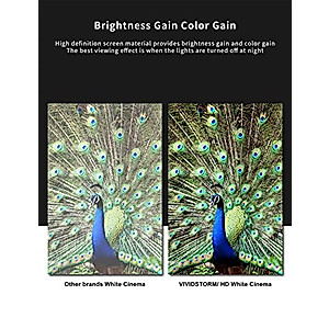 VIVIDSTORM-Projector Screen S 110 inch Portable Folding Stand Indoor Tension Floor Screen 4k HD White Cinema, 4K/3D/UHD Gaming/Home Cinema,Compatible with Normally Projector,VSDSTW110H