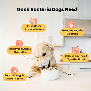 Kayode Lickable Probiotics for Dogs - Strong Dog Digestive Aid & Dog Diarrhea Relief. for Dog Lick Mats Or As Food Topper. Tasty Banana Coconut Flavor. 7 Dog Probiotic Strains.