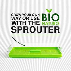 Microgreens Seeds Kit Organic NonGMO Heirloom - Seeds | 6-Pack (150g) Alfalfa, Arugula, Beetroot, Cress, Radish, Sunflower | Indoor Planting and Sprouting