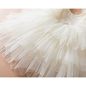 TTYAOVO Baby Girl Dresses Flower Birthday Party Tulle Princess Gown Size 80(6-12 Months, 61 Beige)