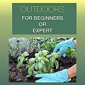 Window Garden Herb Seeds - 10 Popular Varieties for Indoor or Outdoor Planting, Growing. Attractive Markers and Quality Seed - Basil Parsley Dill Oregano Rosemary Chives Mint Sage Thyme Cilantro.