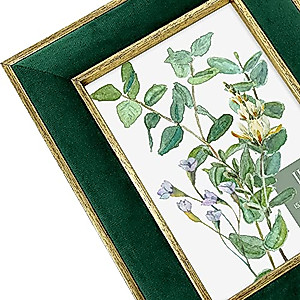Isaac Jacobs 5x7 Green Velvet Picture Frame with Metallic Gold Double Border, Photo Frame, Horizontal & Vertical, Made for Tabletop & Wall Display, for Home and Office (5x7, Green with Gold)