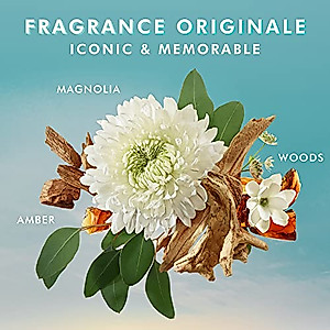 Moroccanoil Hand Cream Fragrance Originale 1.4 Fl Oz