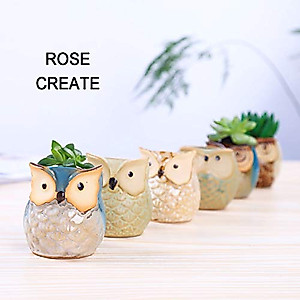 ROSE CREATE 6 Pcs 2.5 Inches Owl Pots, Little Ceramic Succulent Bonsai Pots with a Hole - Pack of 6