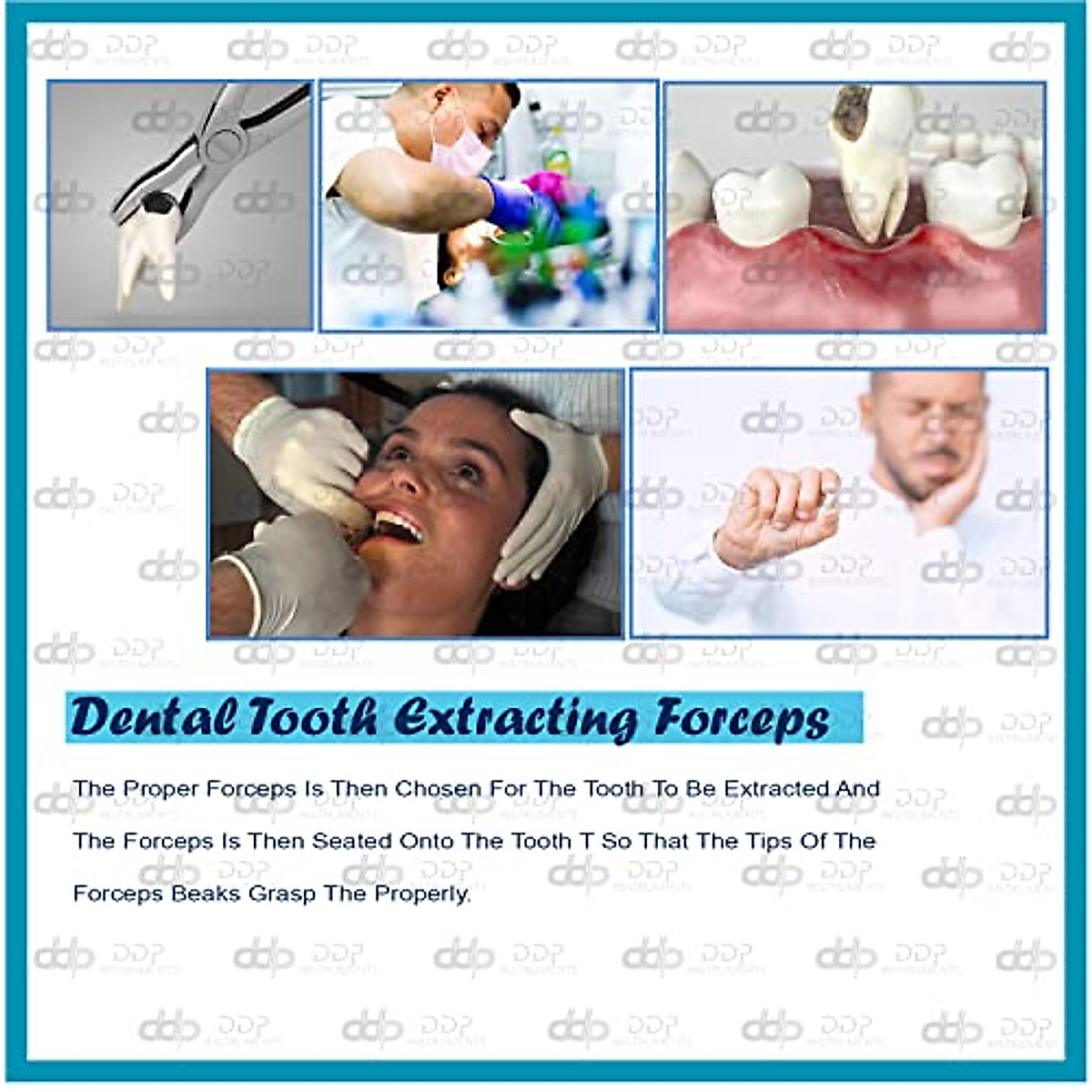 DDP Dental Tooth Extraction Forcep 106 Dentist Lab Tools Stainless Steel