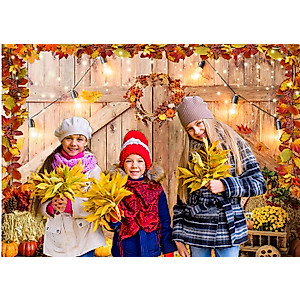 CHAIYA 7x5ft Thanksgiving Photography Backdrop Autumn Harvest Backdrop Thanksgiving Barn Door Backdrop Pumpkin Maple Leaves Sunflower Haystack Party Supplies Banner CY-237