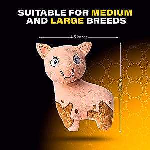 Bite Force Dog Chew Toys