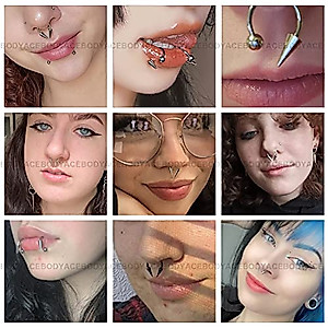 BodyAce 16G Spike Septum Rings Horseshoe Nose Rings, Rook Daith Helix Tragus Cartilage Earrings Hoop, Stainless Steel Lobe Lip Piercing for Women Men [A:3pcs 8/10/12mm Black]