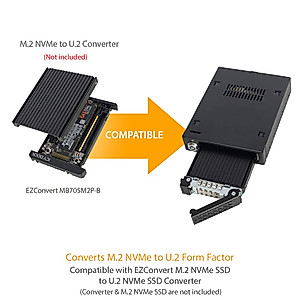 ICY DOCK 2.5" U.2 NVMe SSD PCIe 3.0/4.0 Mobile Rack for External 3.5" Drive Bay (147mm Depth) | ToughArmor MB601VK-B