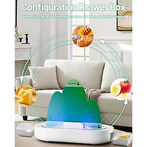 Fruit Fly Traps for Indoor Outdoor, Double-Sided Fly Trap Indoor, Rechargeable Flying Insect Traps with Blue Bug Light, Fruit Fly Traps for Camping, Patio, Garden, Kitchen (1 pcs)