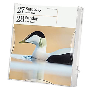 Audubon Birds Page-A-Day Gallery Calendar 2023: Hundreds of Birds, Expertly Captured by Top Nature Photographers