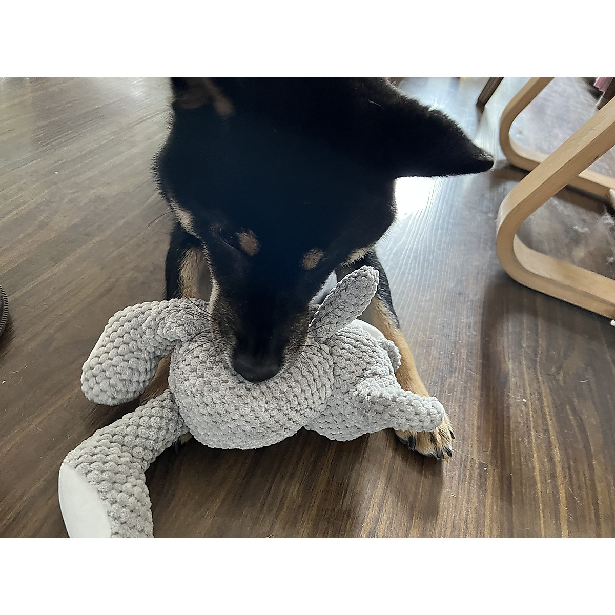 CIXOXIZ Squeaky Dog Toys,Durable Stuffed Pet Toys,Stuffed Pet Toy,Plush Corduroy Dog Toy,Elephant Squeaky Plush Dog Toy, Durable Plush Dog Toy,Chew Guard Toy,Dog Chew Toys,Cotton Rope Dog Toy