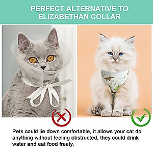 URROMA 1 Piece Dinosaur Recovery Suit for Cat, Pet Surgical Recovery Suit Soft Breathable Cat Wound Surgery Recovery Suit for Cats Kitten, M