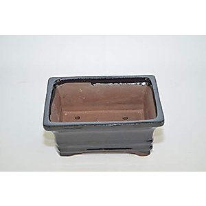 Bonsai Ceramic Pot 6" Rectangle Shape, Black Pot with draining Holes.