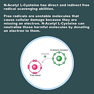 LifeLink NAC (N-Acetyl L-Cysteine) | 600 mg x 120 Capsules | Antioxidant, Anti-Aging, Immunity | Gluten Free & Non-GMO | Made in The USA