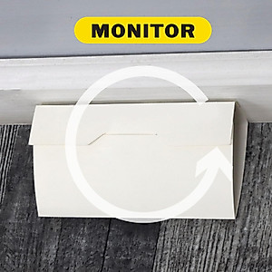 PIC GMT-4F Mouse Glue Trap, Baited Glue Traps with Sticky Adhesive, Sticky Mouse Traps for Indoors, Trampas para Ratones Pest Control Trap, Easy to set, Non-Toxic, Disposable, 12 Pack (48 Traps Total)