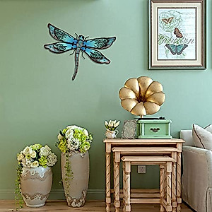 LIFFY Metal Dragonfly Wall Decor - Outdoor Wall Decor Garden Dragonfly Decor for Patio - Dragonfly Metal Wall Art for Living Room, Bedroom, Dragonfly Gifts(14inch, Metal&Glass)