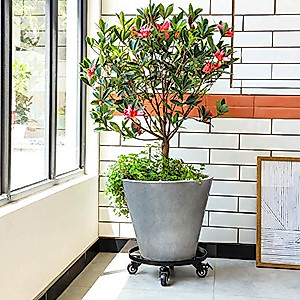 Amagabeli Garden Home 2 Pack 14" Plant Caddy with Wheels Heavy Duty Iron Wheeled Stand Brake Round Pot Mover On Roller Dolly Holder Indoor Outdoor Planter Trolley Casters Rolling Coaster Metal BG2071