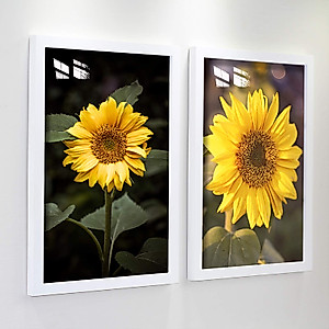 KAOIKO 16x20 Frame White Solid Wood With Mat 12x16 Wall Picture Poster Photo frames…