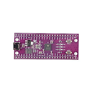 SBUOL W806 Microcontroller 240MHZ 5-8Bit STM32 Development Board CH340 IoT MCU Chip CDK Development Environment Low Power IOT (Color: W806 chip)