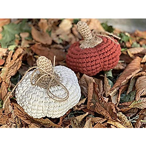 Cotton t-Shirt Yarn, 110 Yards / 100 Meters, Canyon Color, 5-7 mm Thickness, Ribbon Yarn, Perfect Skein of Jersey Yarn, Home Decor Yarn