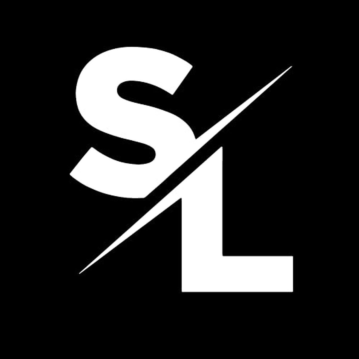 Stabby Labs FAT PP Pocket Knife - 5th pocket EDC folding knife (Black)